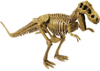 Dr Steve - Dino Battle Excavation Kit | Kids Puzzles | Playing Cards ...