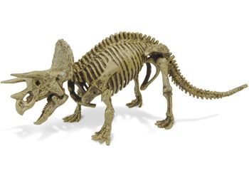 Dr Steve - Dino Battle Excavation Kit | Kids Puzzles | Playing Cards ...